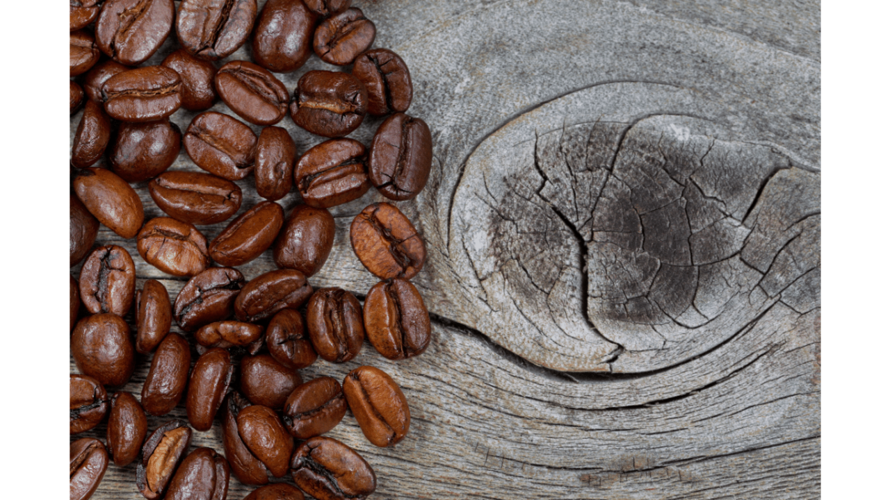 Home - Groundbreakers Coffee