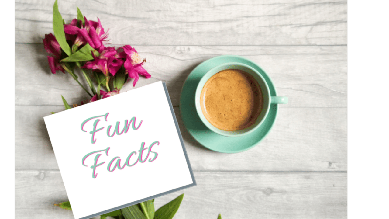 Home - Groundbreakers Coffee